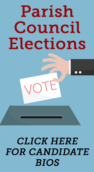 Voting Ends 11/6/16 at 1 pm - St. Leo